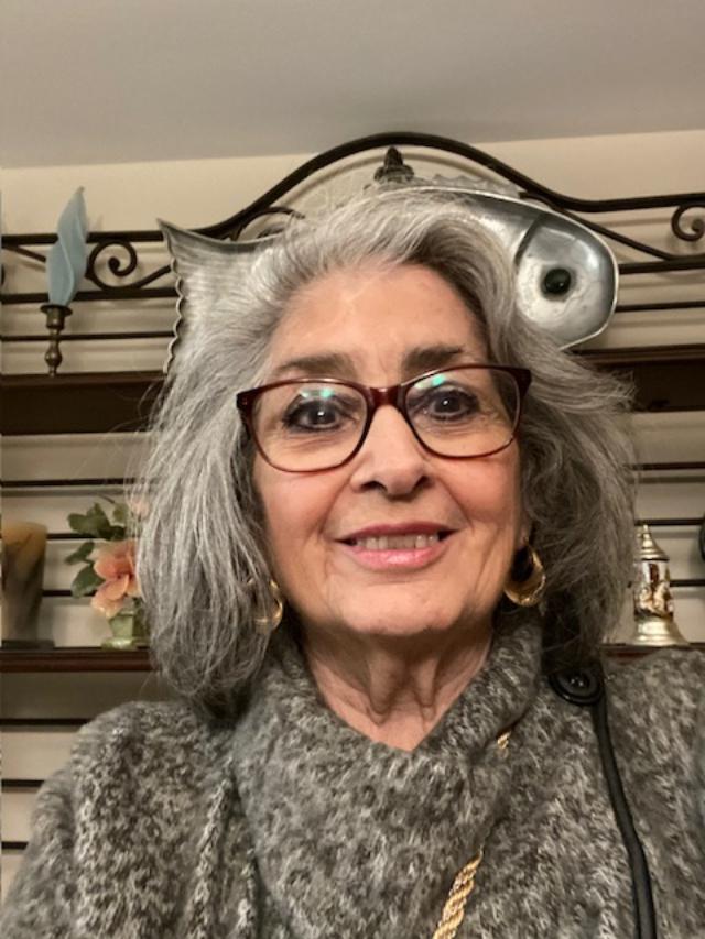 Building Blocks of Advocacy Webinar - Chicago North Shore